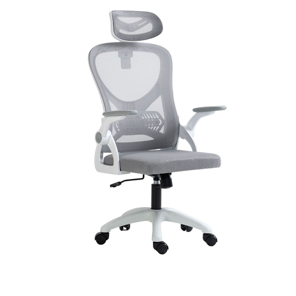 Mesh office store